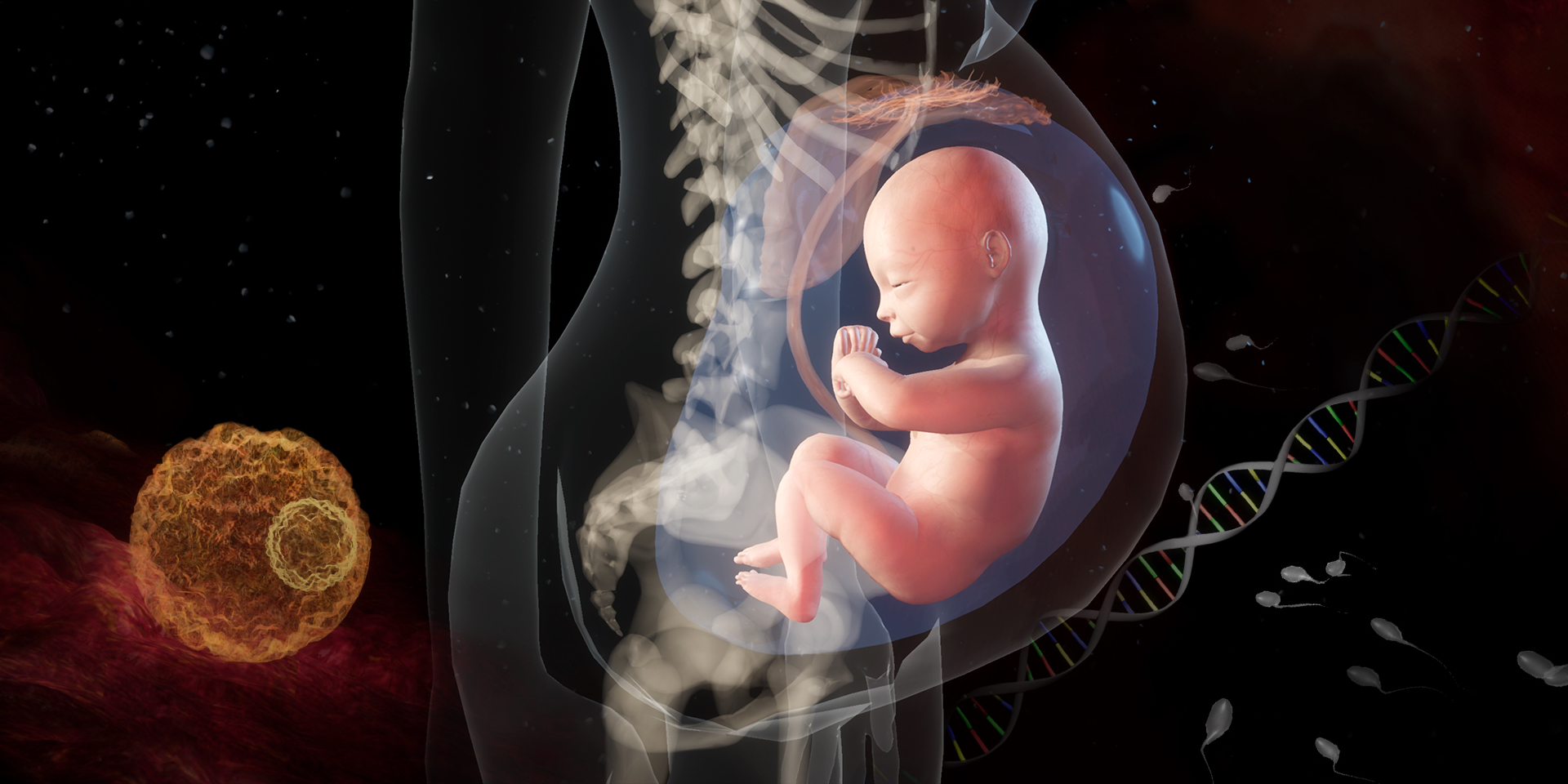 Design and Visual Effects – Atlantic Productions