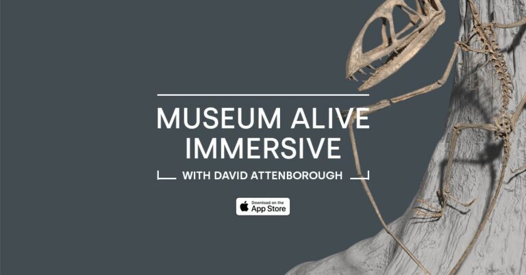 Immersive – Atlantic Productions
